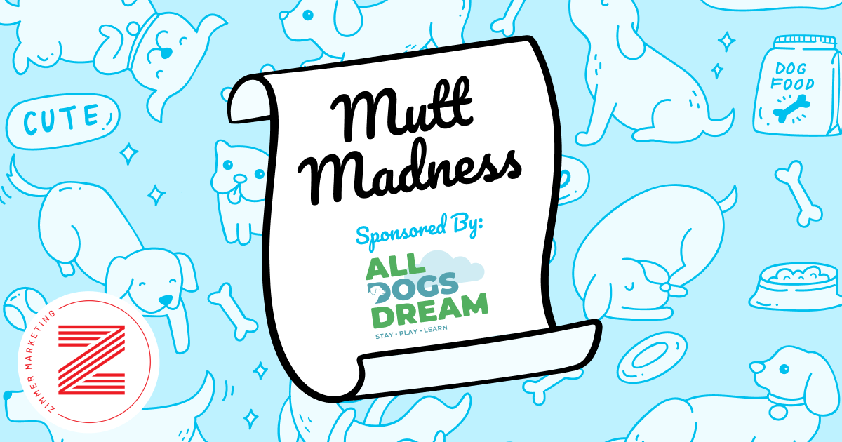 Mutt Madness 2024 - AM1230 The Talker - KZYM